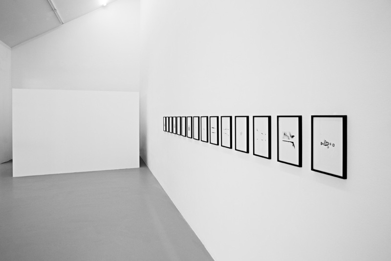 11 Andres Ramirez Gaviria | michael krupica - produktion