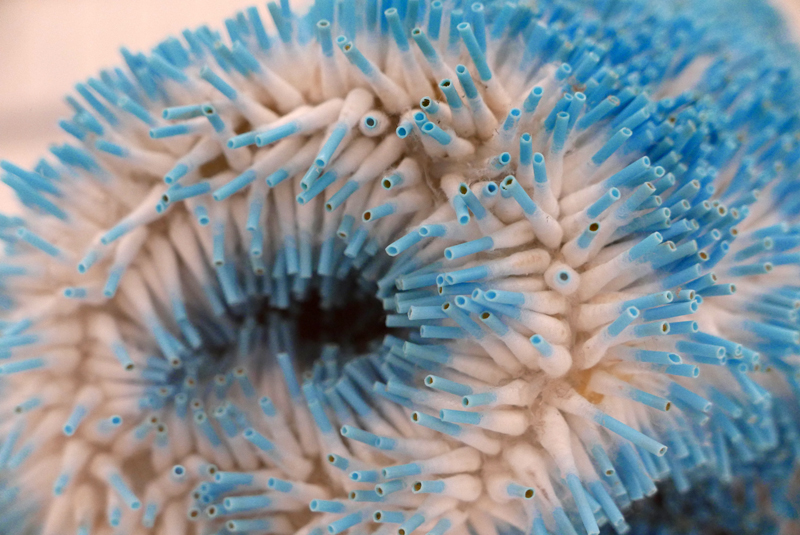 Blühendes Gift | michael krupica - produktion